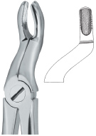Tooth Extracting Forceps|(eng) – Excel Tech Inc