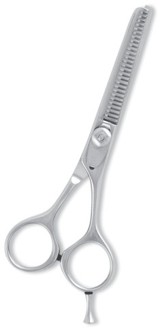 Professional Thinning Scissor. One Blade Teeth and One Blade Razor ...