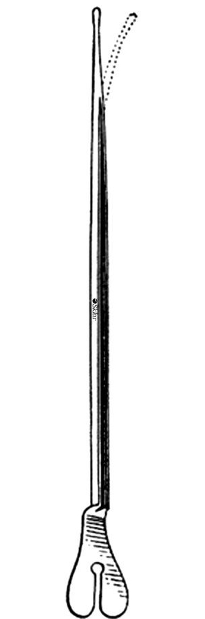 Brodie Director – Excel Tech Inc