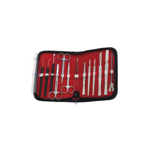 Anatomical Dissecting Set – Excel Tech Inc