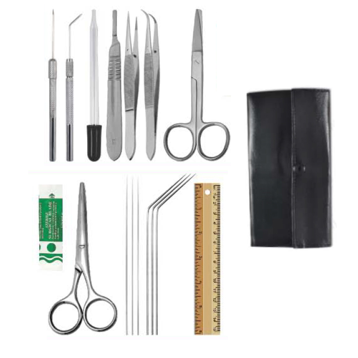 Dissection Kit For Teachers – Excel Tech Inc