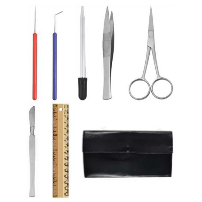 Dissection Kit For Beginners – Excel Tech Inc