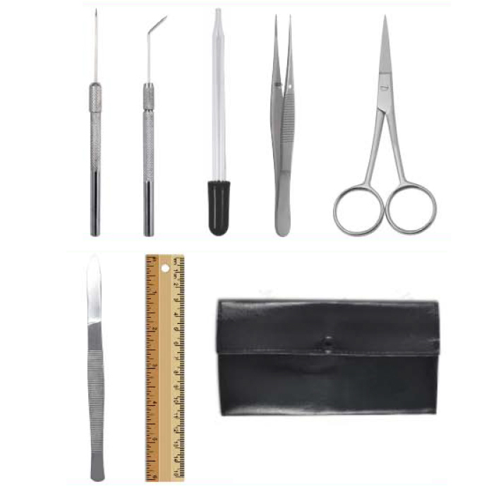 Intermediate’s Dissection Kit – Excel Tech Inc