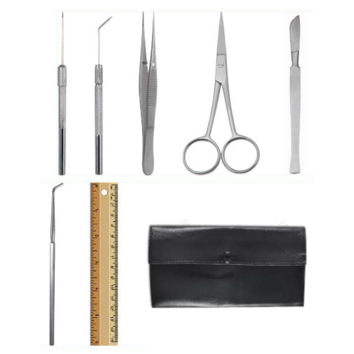Introductory Anatomy Dissection Kit – Excel Tech Inc
