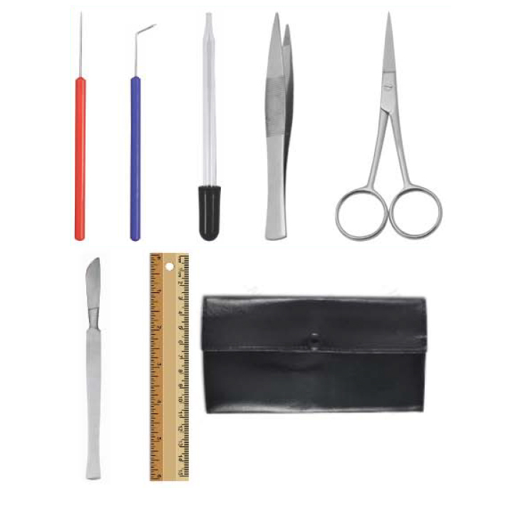 Plastic Case Student Dissection Kit – Excel Tech Inc