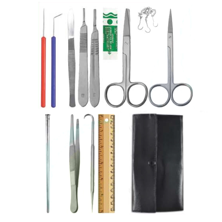 Comprehensive Economy Dissection Kit – Excel Tech Inc