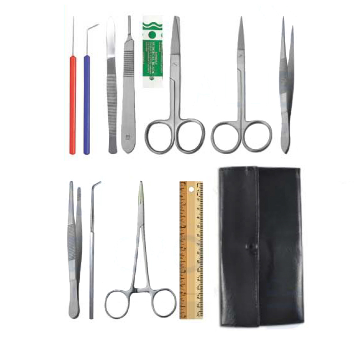 Student Anatomy Dissection Kit Economy – Excel Tech Inc