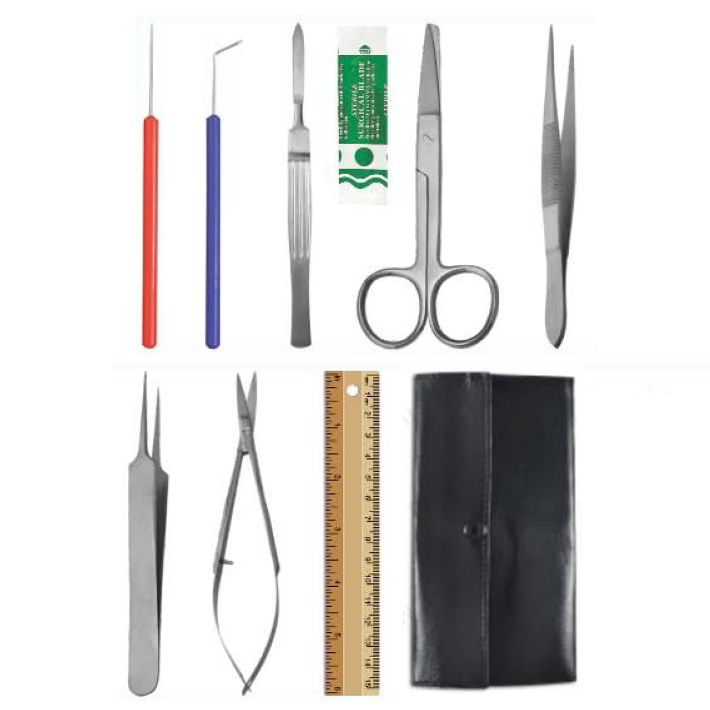 Invertebrate Dissection Kit – Excel Tech Inc