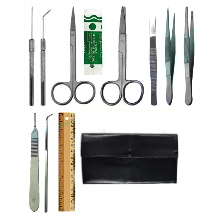 Dissection Kit Deluxe – Excel Tech Inc