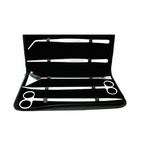 Fish Aquarium Set – Excel Tech Inc